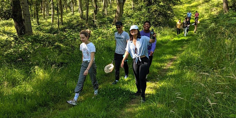 Support the Woods | Wytham Woods