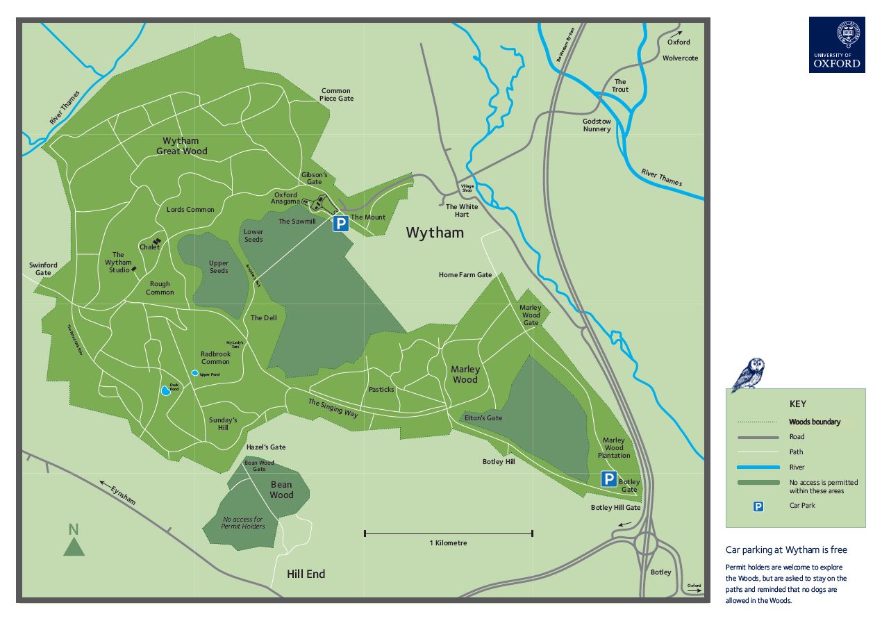 Map | Wytham Woods