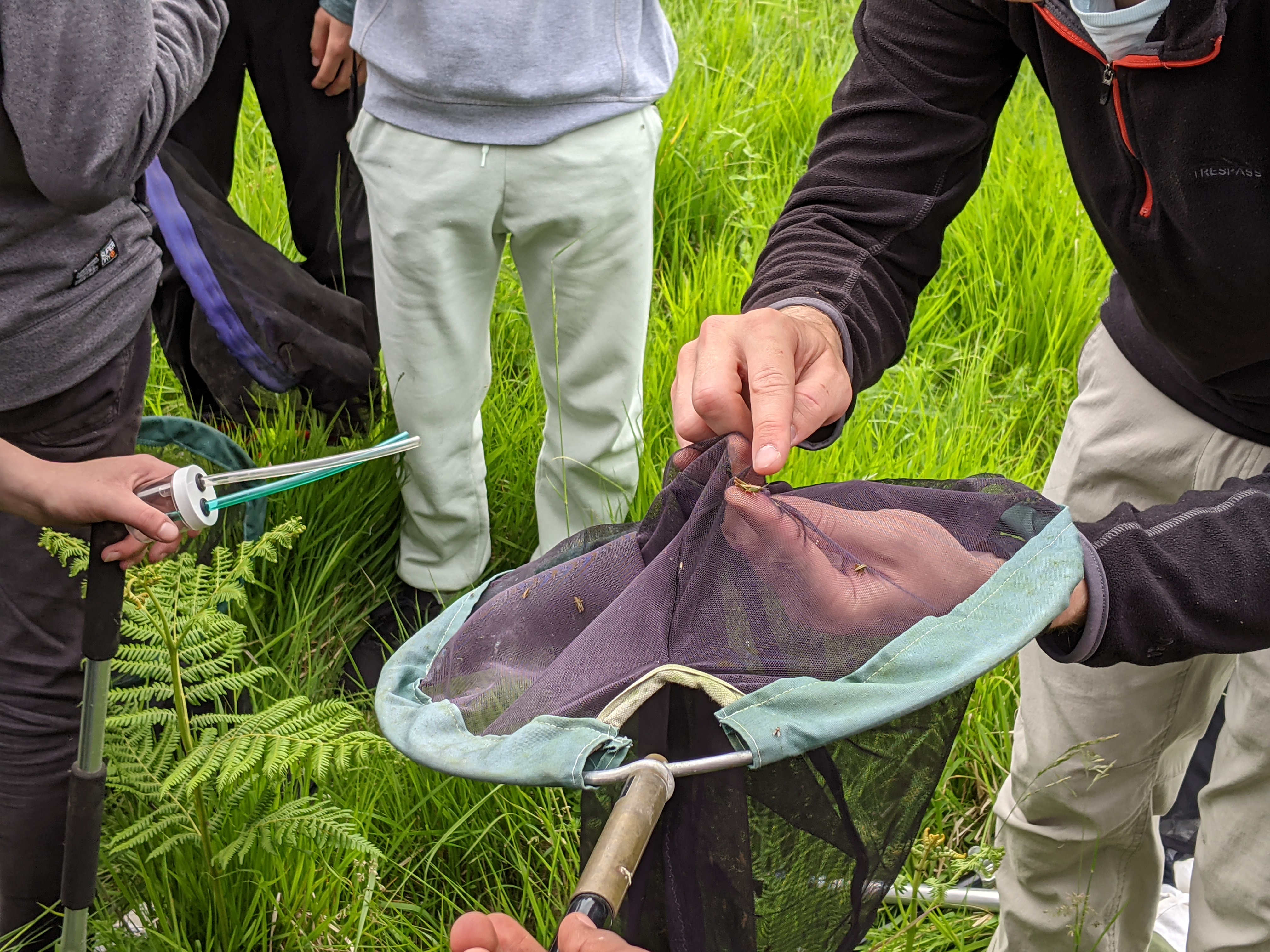 Secondary Schools: Fieldwork & Self-Led Tours | Wytham Woods
